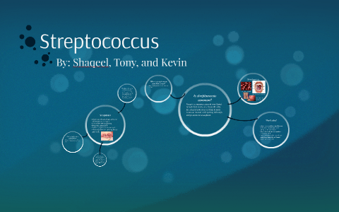 Streptococcus by on Prezi