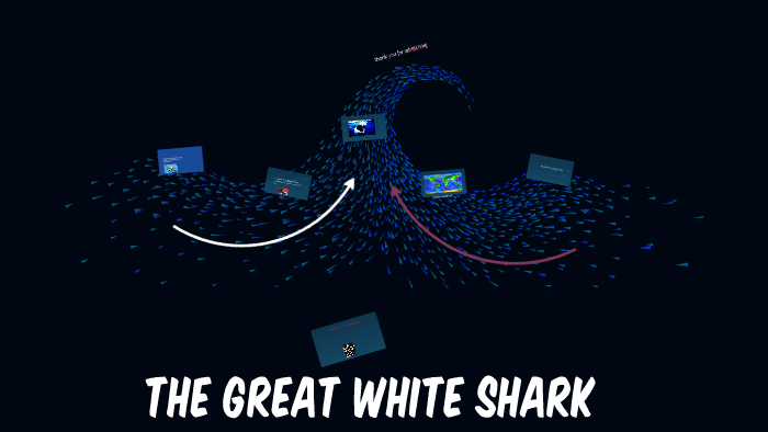 the great white shark is the oceans. top predators they keep by cortez ...