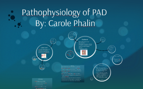 Pathophysiology of PAD by Carole Phalin on Prezi