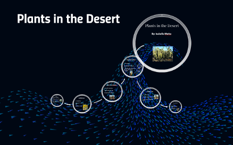 Plants in the Desert by isabella matta on Prezi