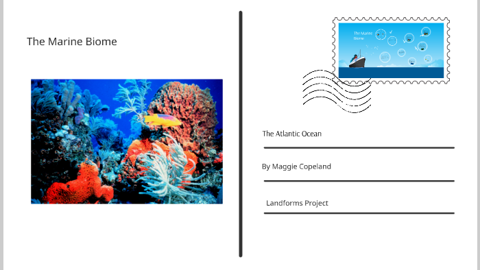 Marine Biome -Atlantic Ocean by on Prezi