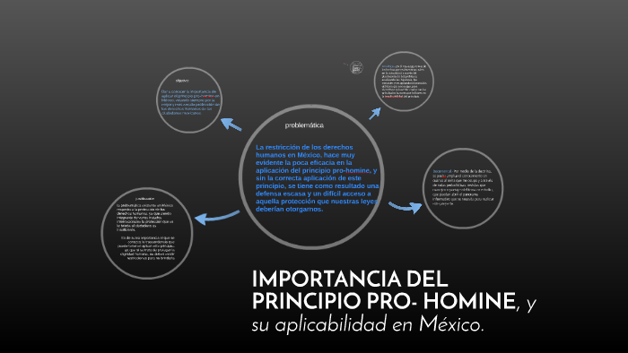 MPORTANCIA DEL PRINCIPIO PRO- HOMINEI, y su aplicabilidad en by Andrea ...