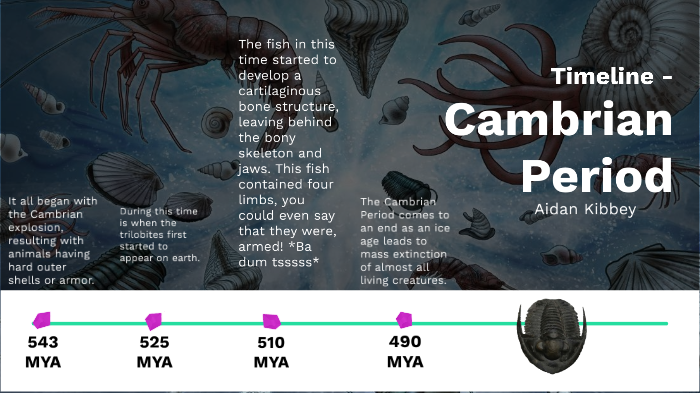 Cambrian Times by Aidan Kibbey on Prezi