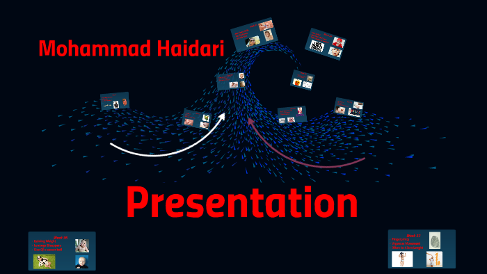 Mohammad Haidari by Mohammad Hadiari on Prezi