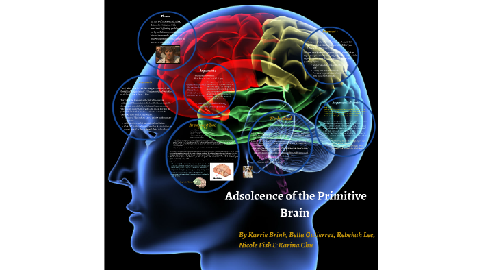 Adolescence of the Primitive Brain by Karrie Brink on Prezi