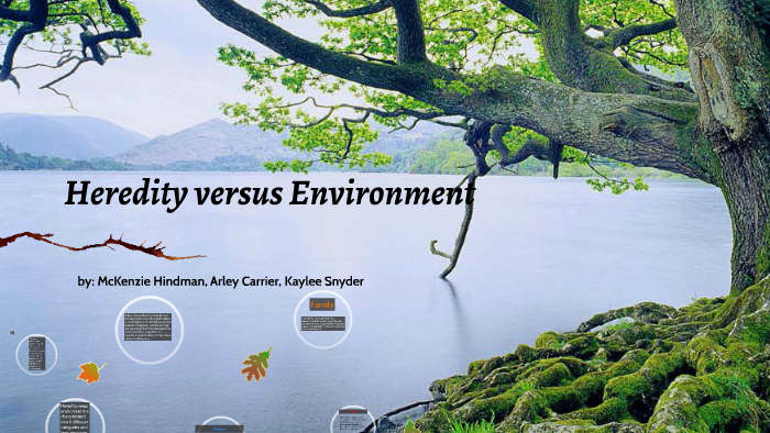 Heredity versus environment by mckenzie hindman on Prezi
