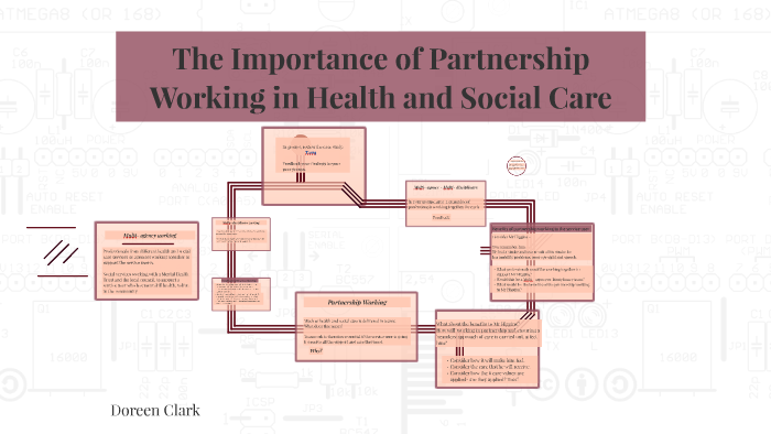 The Importance of Partnership Working in Health and Social C by doreen ...