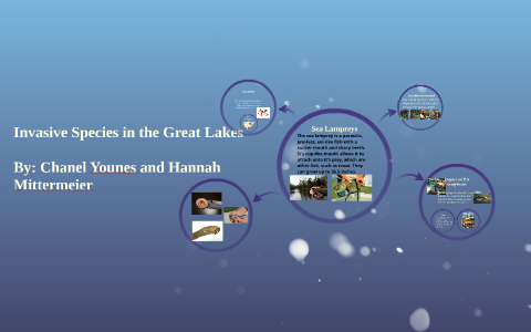 Invasive Species in the Great Lakes by on Prezi