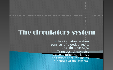 Cardiovascular system . by Leslie Benavides on Prezi