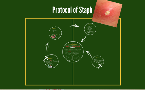 Protocol of Staph by Taylor Hufford on Prezi