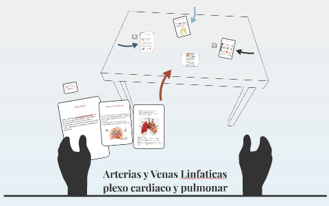 Arterias y Venas Linfaticas plexo cardiaco y pulmonar by gabriela ...