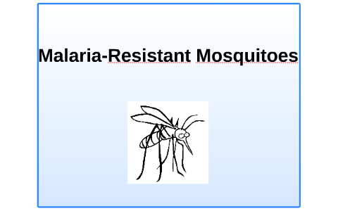 Malaria-Resistant Mosquitoes by Rafael Ng on Prezi