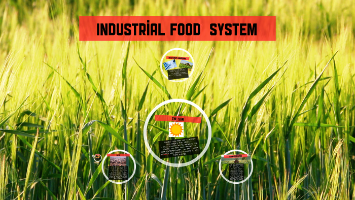 Industrial Food System by Courtney Mullins on Prezi