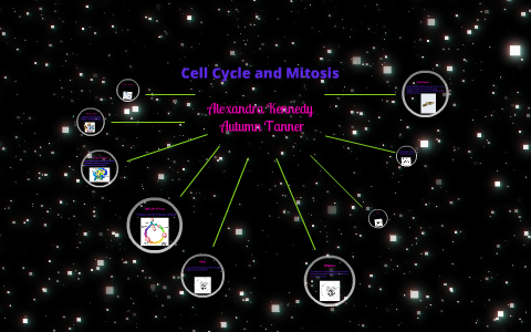 Cells Cycle and Mitosis by Alexandra Kennedy on Prezi