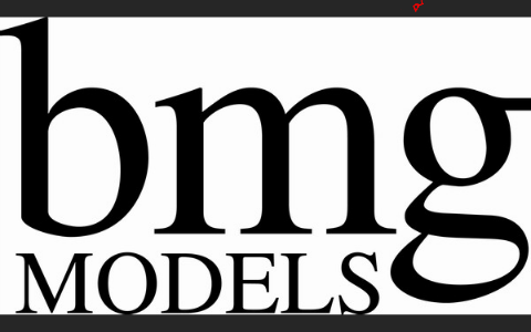 BMG Models by Rachel DAy on Prezi