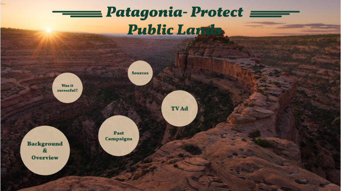 Patagonia Presentation by Coleman Young on Prezi
