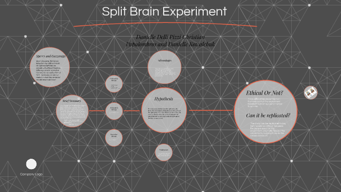 Split Brain Experiment by Danielle Delli Pizzi