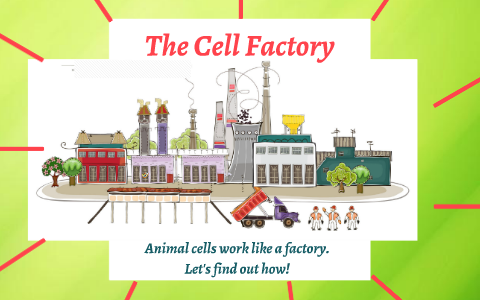 Cell Functions Analogous to a Factory by Megan Cross on Prezi