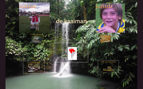 hier leeft de kaaiman by pietjan snot on Prezi