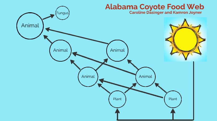 Alabama Animal Food Web by Caroline Dasinger on Prezi