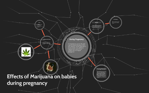 Effects of Marijuana on babies during pregnancy by Brandon Goungo on Prezi
