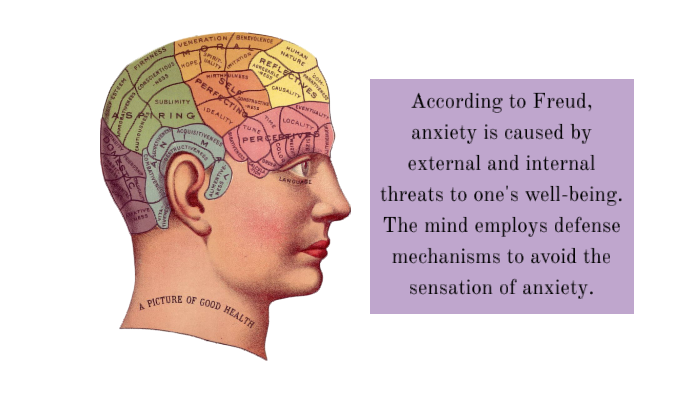 Anxiety and Instinct According to Freud by Amelie Seigman on Prezi
