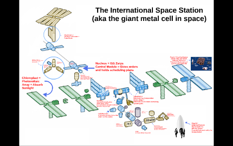 Cell Analogy: International Space Station by Angel See on Prezi
