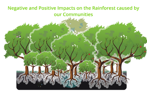 Negative and positive impacts on the Rainforest caused by our ...