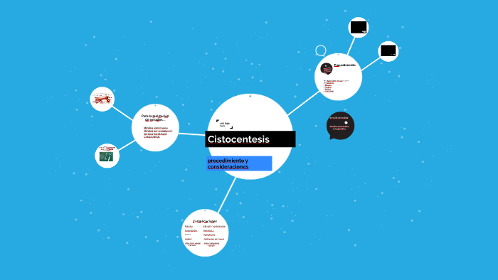 Cistocentesis by Mirna Lerma