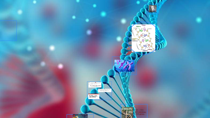 Hugo de vries/ Carl Correns/ Erich Von by Danylo Paes on Prezi