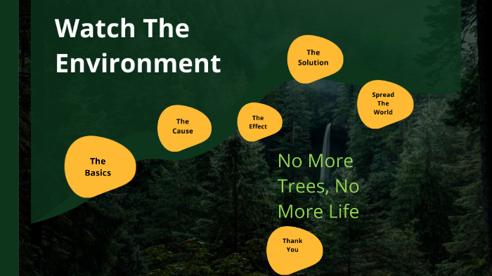 No Life For Trees, No Life For Us! by Taha muhammad on Prezi