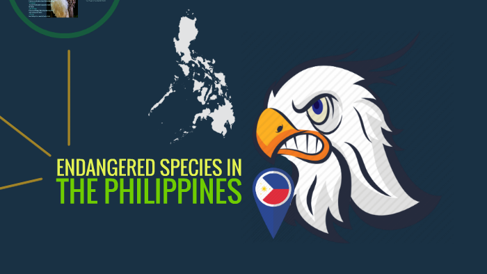 ENDANGERED SPECIES IN THE PHILIPPINES by Christine Divinagracia on Prezi