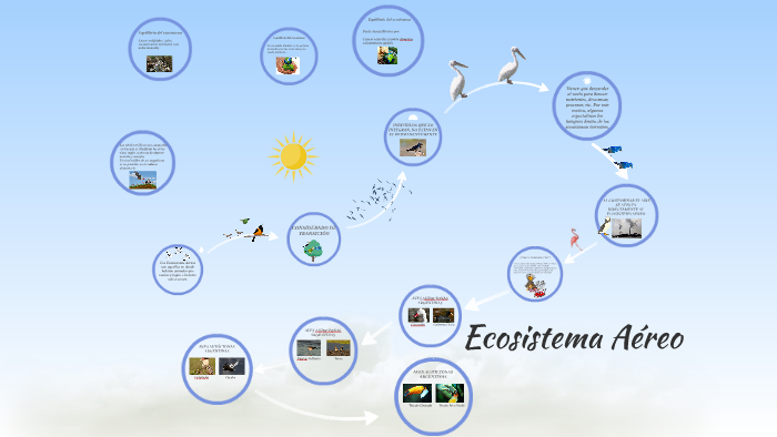 Ecosistema Aereo by Nacho Pizzurno on Prezi