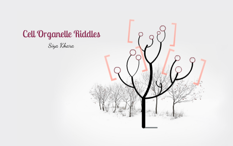 CELL ORGANELLES RIDDLES by siya khara on Prezi