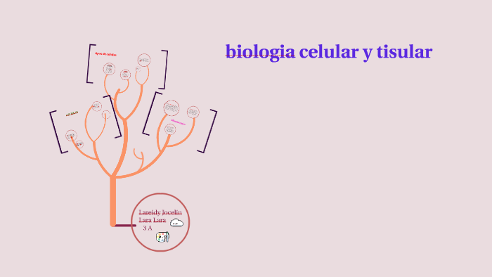 biologia celular y tisular by Lareeiidy Lara on Prezi