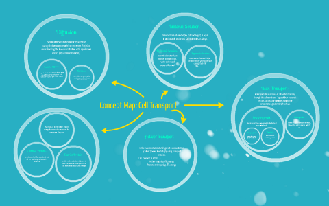 Concept Map: Cell Transport by Emily Price on Prezi
