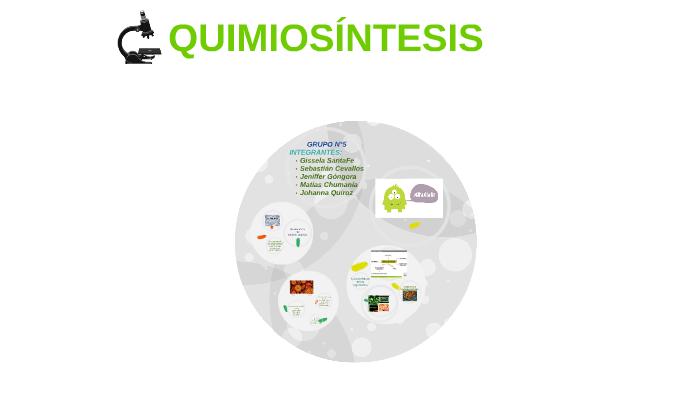 QUIMIOSÍNTESIS by JENIFFER GONGORA| on Prezi