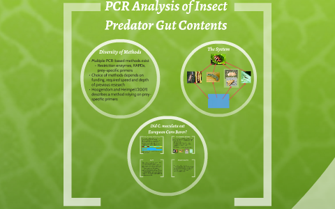 PCR Analysis of Insect Predator Gut Contents by John Pote on Prezi