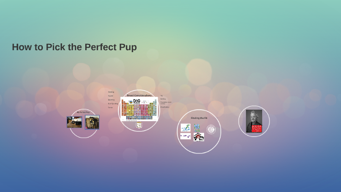 Practice Presentation by Kenzie Maynard on Prezi