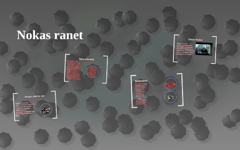 Nokas ranet by Karine Jonsrud Pedersen on Prezi