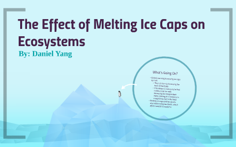 The Effect of Melting Ice Caps on Ecosystems by Daniel Yang on Prezi