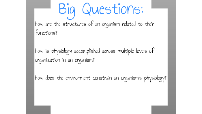 Chapter 40: Basic Principles of Animal Form and Function by Nathan ...