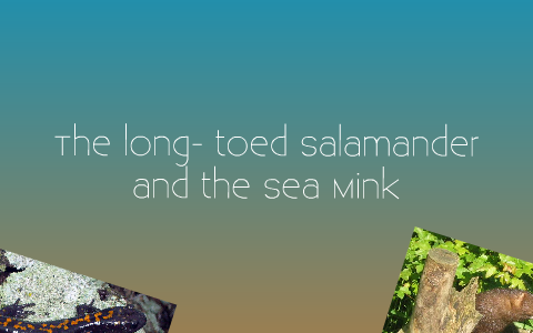 Extinct and Endangered Species by Sammy Springer on Prezi