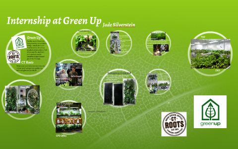 Internship at Green Up/CT Roots by Jade S on Prezi