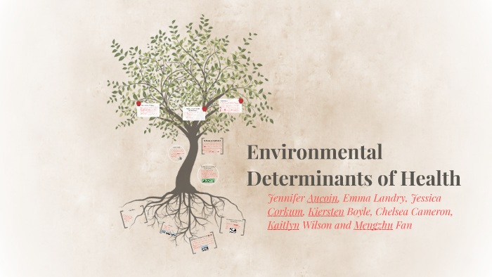 Environmental Determinants of Health by Jennifer Aucoin on Prezi