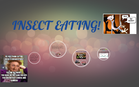 Insects are cold blooded by Teresa Hernandez on Prezi