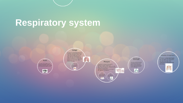 Respiratory system by jared nickoli on Prezi