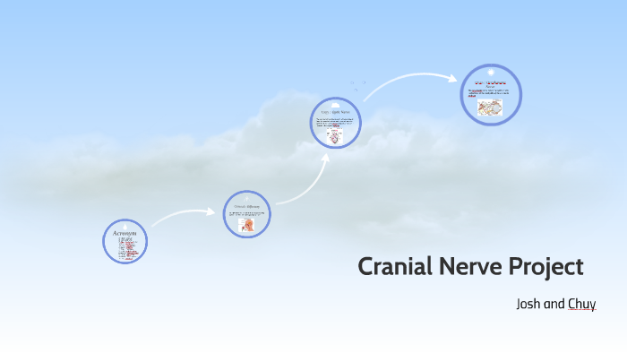 Cranial Nerve Project by Josh Leyba on Prezi