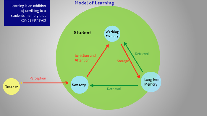 Model Of Learning by Madison Milbrath on Prezi
