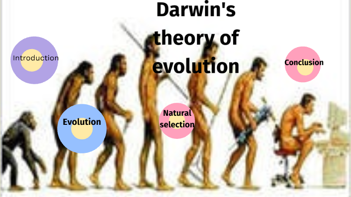 Darwin's theory of evolution by Dasha Bibek on Prezi